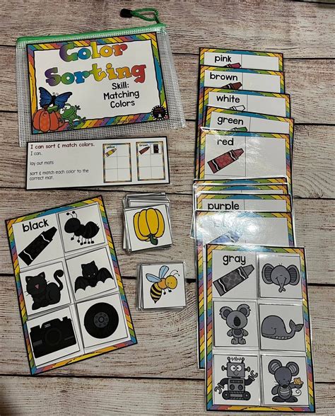 Color Sorting Classification File Folder Game Babe Prebabe Task Box Busy Bag Etsy