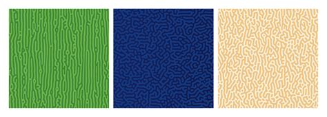 Set Of Three Colorful Turing Reaction Gradient Backgrounds Abstract