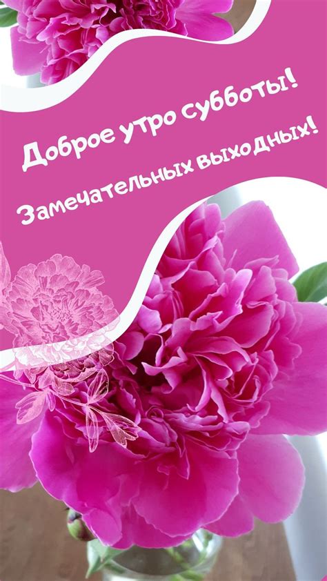 Доброе субботнее утро In 2024