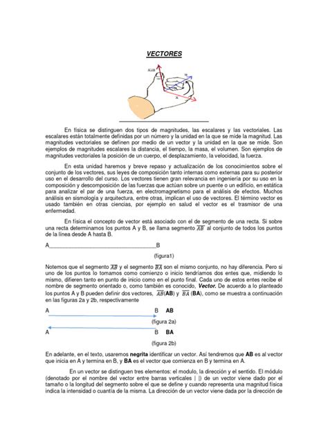 Vector Es Pdf Vector Euclidiano Sistema Coordinado