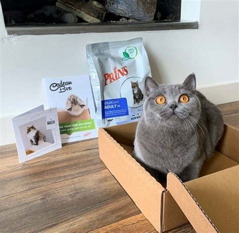 Храна за домашни любимци