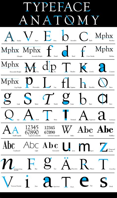 Typeface Anatomy Artofit