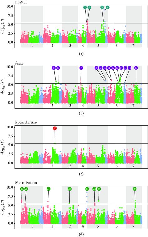 Manhattan Plots Showing Significant Snp Markers Associated With Each