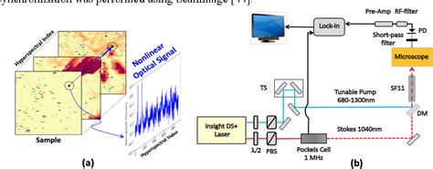 Figure 1 From Unsupervised Hyperspectral Stimulated Raman Microscopy