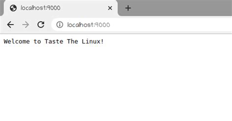 Install PM2 On Ubuntu CentOS Linux TasteTheLinux