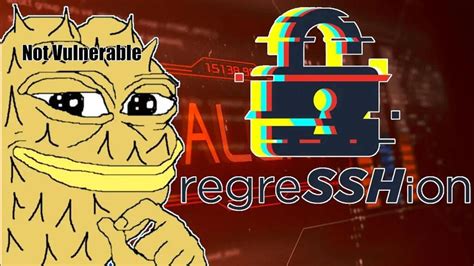 Securitypsa Openssh Vulnerability In Linux Systems Science