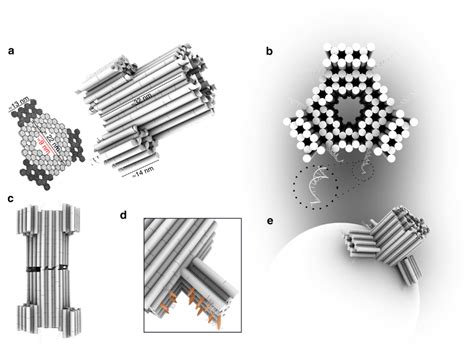 Design Of The Dna Nanopore A The Pseudosymmetric Nanopore Is Based On A