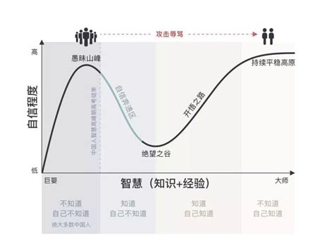 邓宁 克鲁格效应邓宁克鲁格效应 和国学 Csdn博客