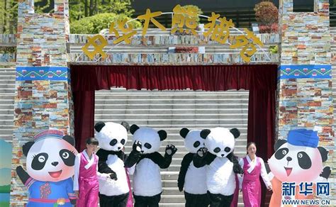 中华大熊猫苑图册 360百科