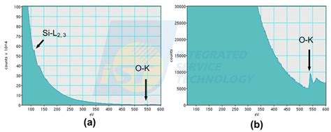 Tem Eels The Tem Tool You Shouldnt Overlook Ist