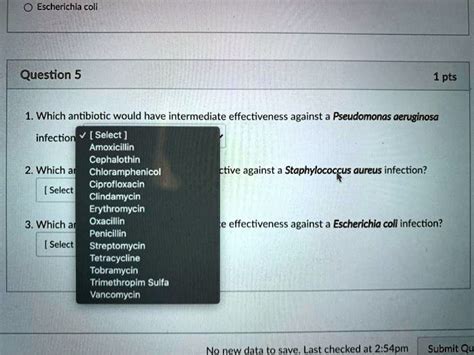 Solved Escherichia Coli Question 5 1 Pts Which Antibiotic Would Have Intermediate Effectiveness