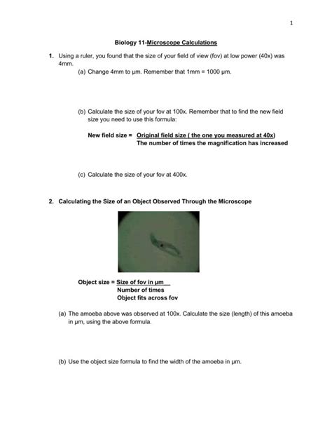 Microscope Calculations Worksheet Db Excel Com