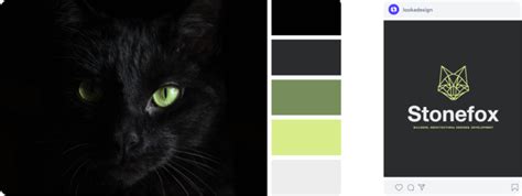 20 Fall Color Palettes For A Warm Fall Aesthetic Looka