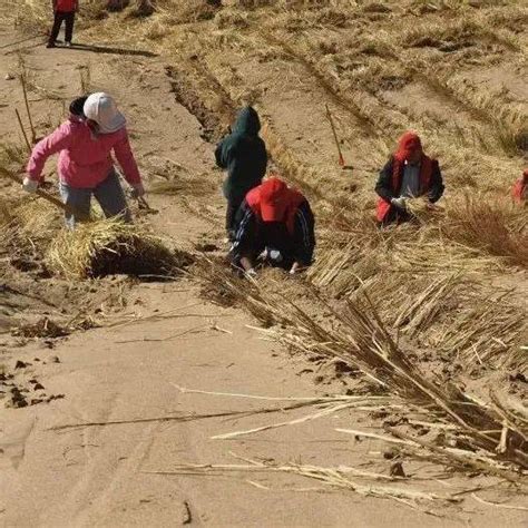 【中央媒体看甘肃】甘肃鼓励人才下基层 为艰苦边远地区专业技术人才单列岗位评价职称工作