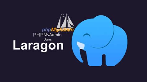 [tuto ] Comment Installer Ou Ajouter Phpmyadmin Dans Laragon Youtube
