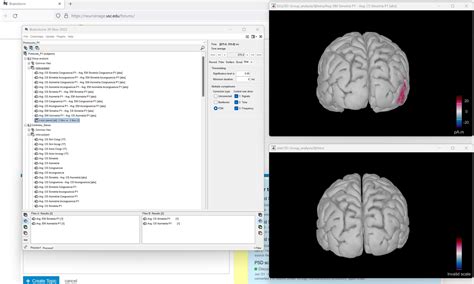 Invalid Scale Neuralsource Discussions Brainstorm