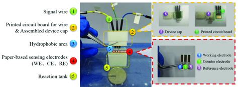 Images Of Paper Based Sensor Chip And The Portable Detection Device Download Scientific Diagram