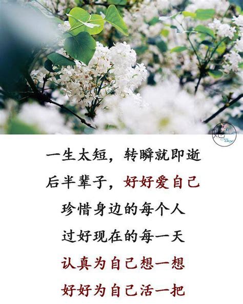 珍惜每一天的意思 珍惜的图片 珍惜 第8页 大山谷图库