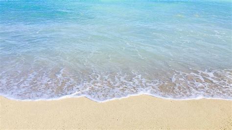 Free Zoom Backgrounds Beach Melissarene Princess