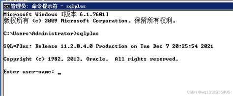 Window下sqlplus客户端安装windows安装sqlplus Csdn博客