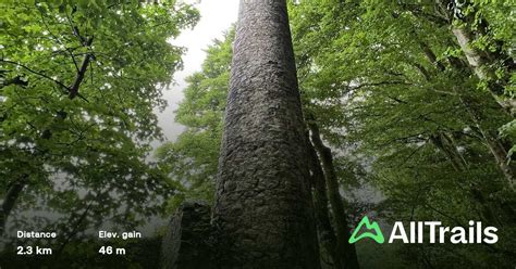 Kelly Bray Circular Cornwall England 23 Reviews Map Alltrails