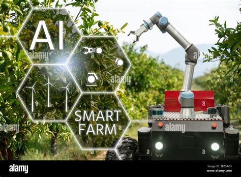 Autonomous Robot Harvester With Robotic Arm Harvesting Fruits On A