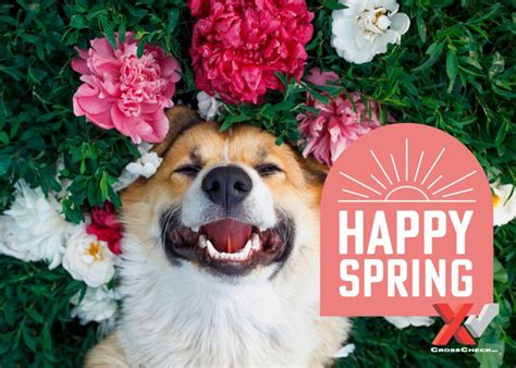 crosscheck inc on linkedin firstdayofspring springtime