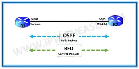 Ospf Timers Guide Hello Dead Retransmit Intervals Ip With Ease