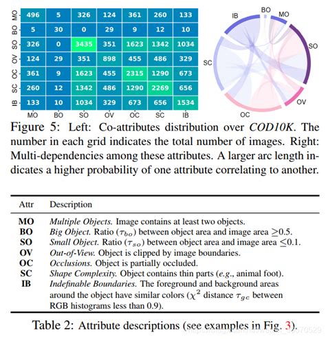 Camouflaged Object Detection Csdn博客