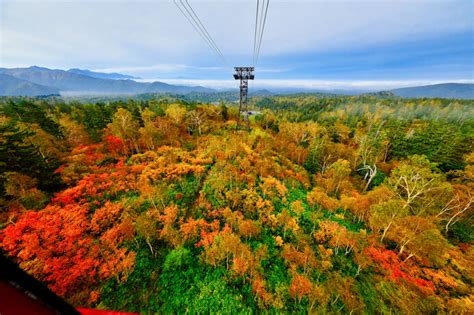 紅葉前線 北海道からスタート 北海道の紅葉スポット 1 季節暮らしの話題 2022年09月25日 日本気象協会 tenki jp