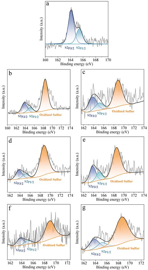 Sustainable Co2 Capture Ns Codoped Porous Carbons Derived From
