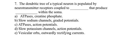 Solved The Dendritic Tree Of A Typical Neuron Is Populated