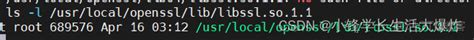 【踩坑】openssl升级后，版本与library版本不一致的问题小锋学长生活大爆炸的技术博客51cto博客