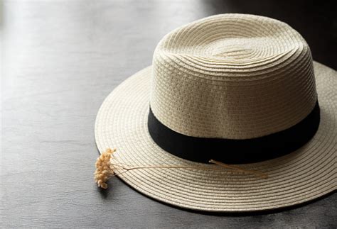 가죽 질감에 마른 꽃과 부드러운 빛 배경에 검은 리본을 가진 흰색 여름 모자 가죽에 대한 스톡 사진 및 기타 이미지 가죽 건조한 검은색 Istock