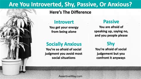 Are You Introverted Shy Anxious Or Passive How To Tell Assertive Way