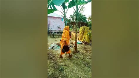 আমাদের ছোট আম গাছে অনেক মুকুল এসেছে Youtube