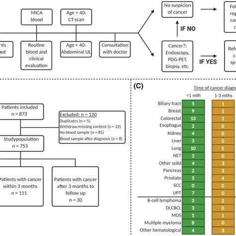 Flowchart Showing Diagnostic Workup Of Patients Referred To The Download Scientific Diagram