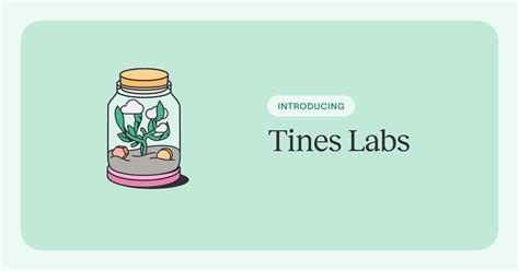Introducing Tines Labs Tines