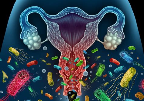 Vaginal Archives Thefertilityshop Co Uk