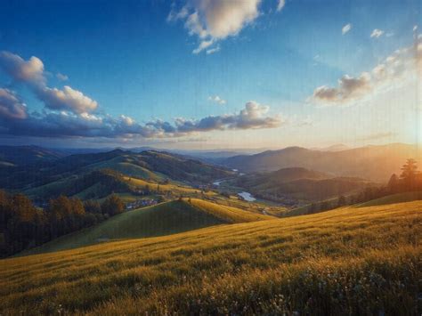 Understanding The Difference Multimeter Vs Voltage Tester For Electrical