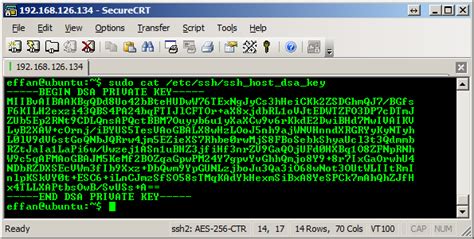 Could Not Load Host Key Ssh 31 Hari Membuat Pentol