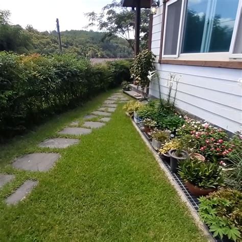 강영희 강주 1113평 남해에 있는 우리 집 온실입니다 겨울엔 연탄 난로에 고구마 구워 먹고 새해에는 해돋이 보려고 모두 모이는데요~ 10년 동안 가꾼 갖가지