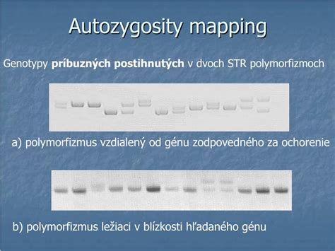 Ppt V äzbová Analýza A Mapovanie Génov Powerpoint Presentation Free