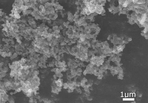 SEM Micrograph Of PPy Particles Synthesized Download Scientific Diagram