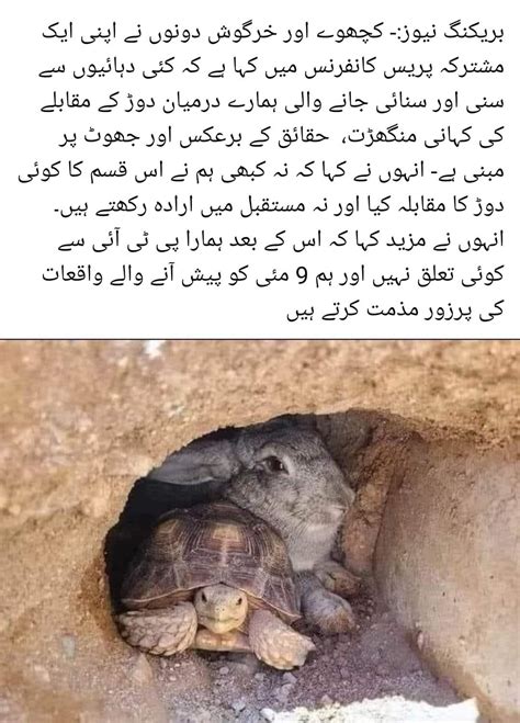 Abid Hassan Awan Posted On Linkedin