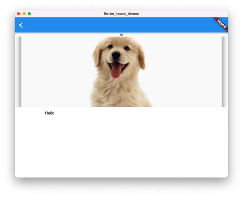 I Cant Load Assets If The Filename Contains Special Characters · Issue 111020 · Flutter