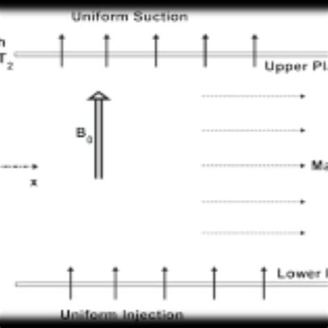 Flow Between Parallel Porous Plates Download Scientific Diagram