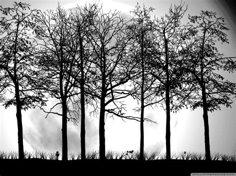 Tree Silhouette Wallpapers Wallpaper Cave