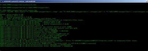 Shark3ds It Sap Abap And Other Stuffs Yajsw Java As A Windows