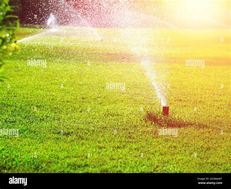 Automatic Lawn Watering System Irrigating Grass Toned Sunlight Effect